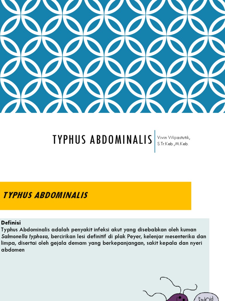 Typhus Abdominalis | PDF