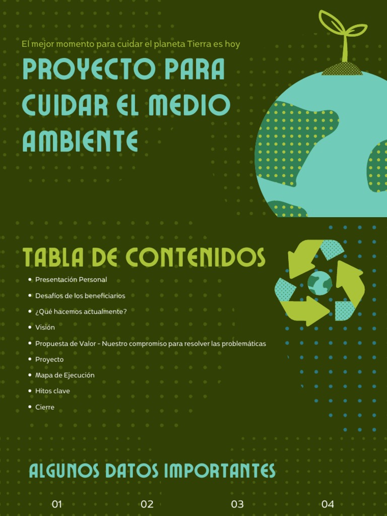 Proyecto para Cuidar El Medio Ambiente | PDF
