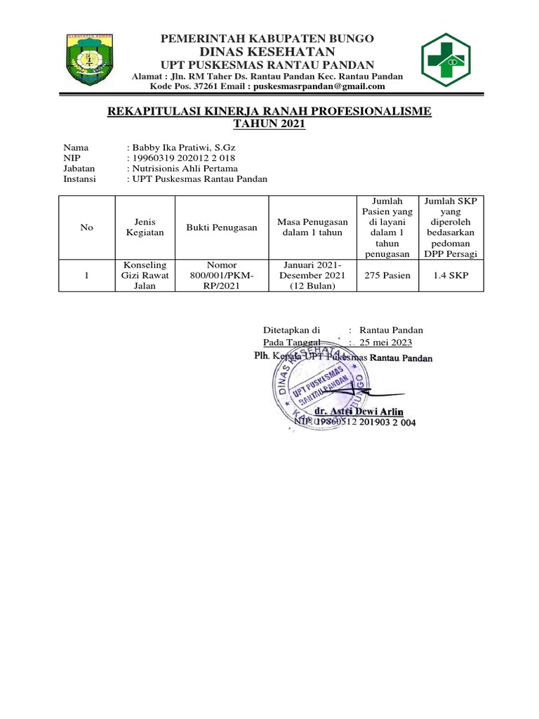 Kinerja Puskesmas Rantau Pandan 2021 | PDF