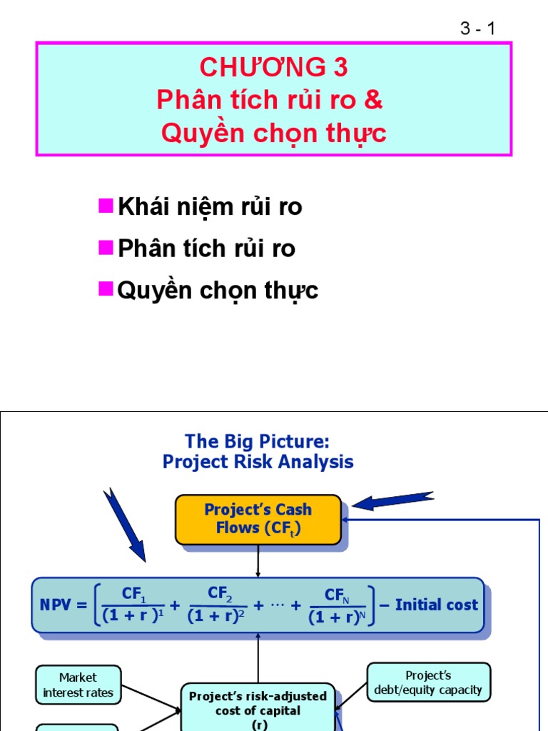 Chapter 3 - Risk Analysis Real Options | PDF