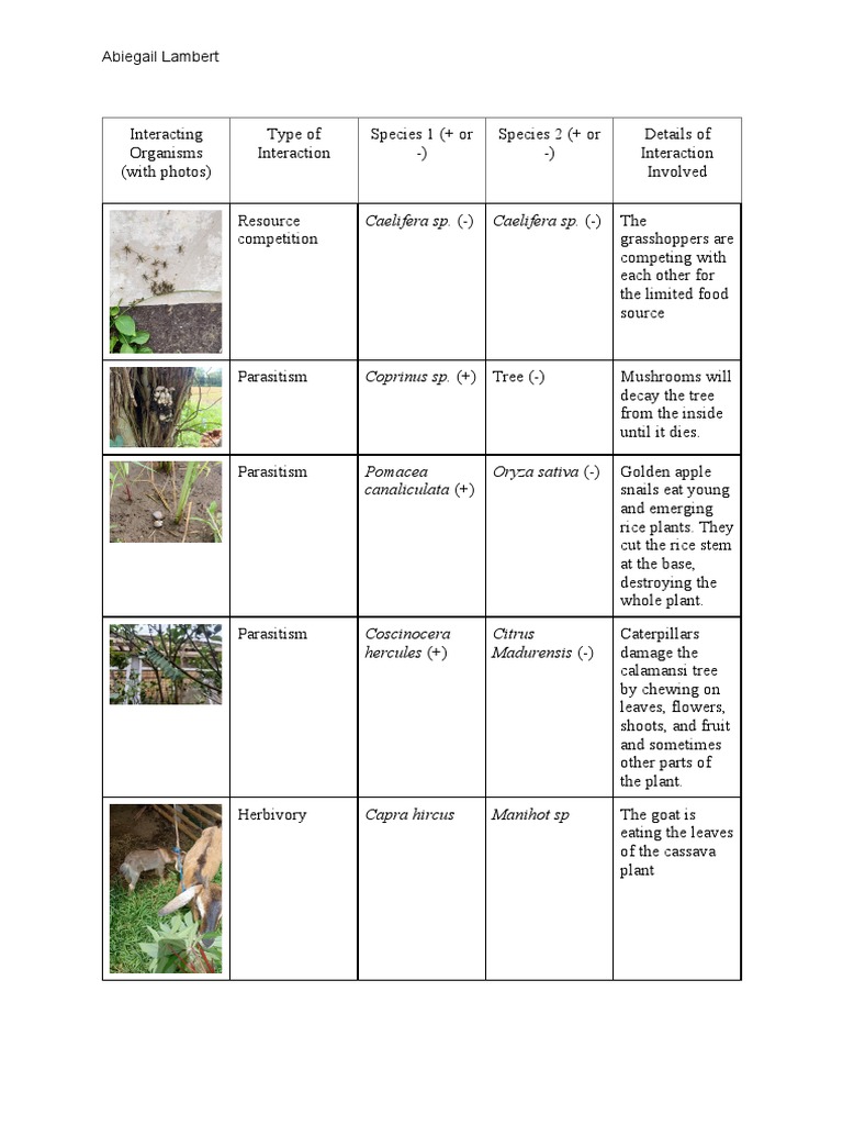 Laboratory Exercise No. 4 Field Observations of Interspecific ...
