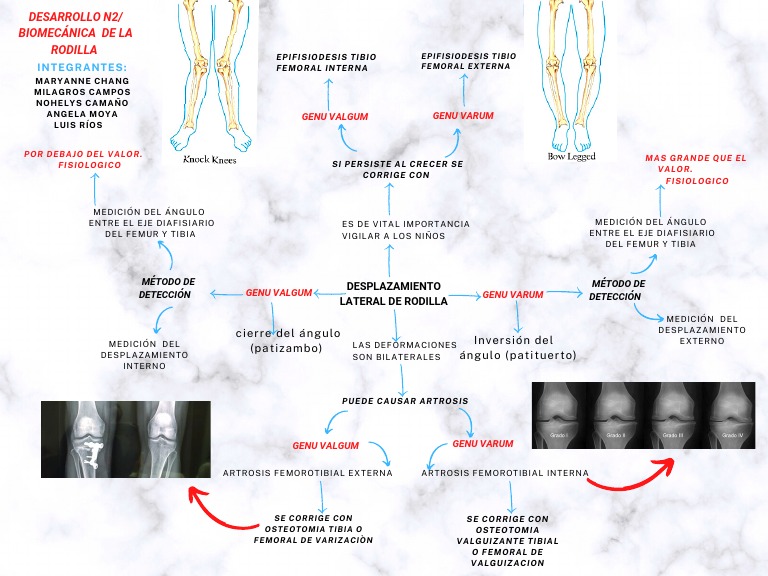 Desarrollo 2 - Biomecánica de Rodilla - Desplazamiento Lateral de ...