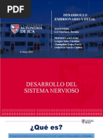 Organizador Visual - Plasticidad Cerebral - Neuropsicologia | PDF