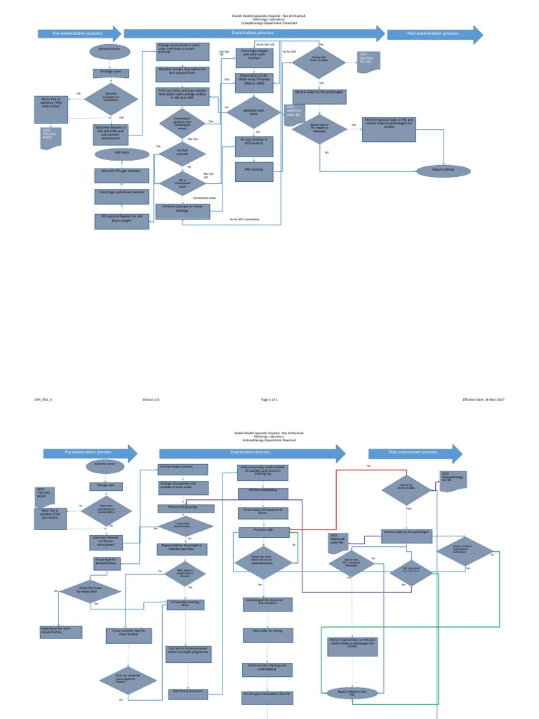 Histopathology Cytopathology Flowchart 1 Pdf Cytopathology