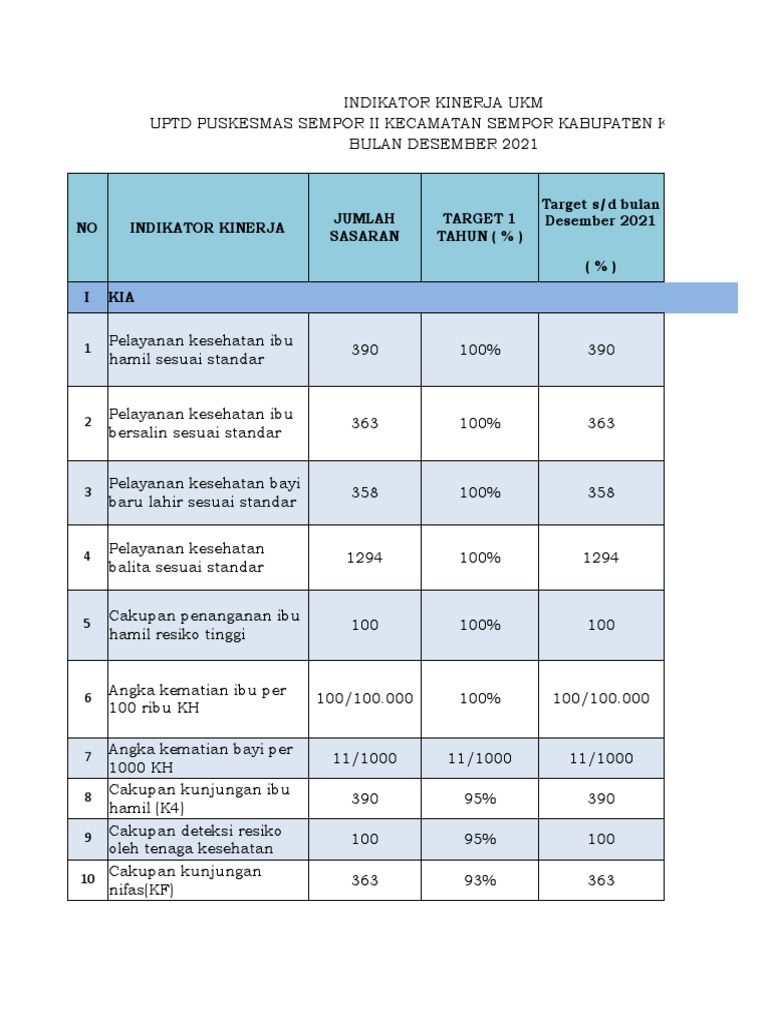 Identifikasi Capaian Program UKM | PDF