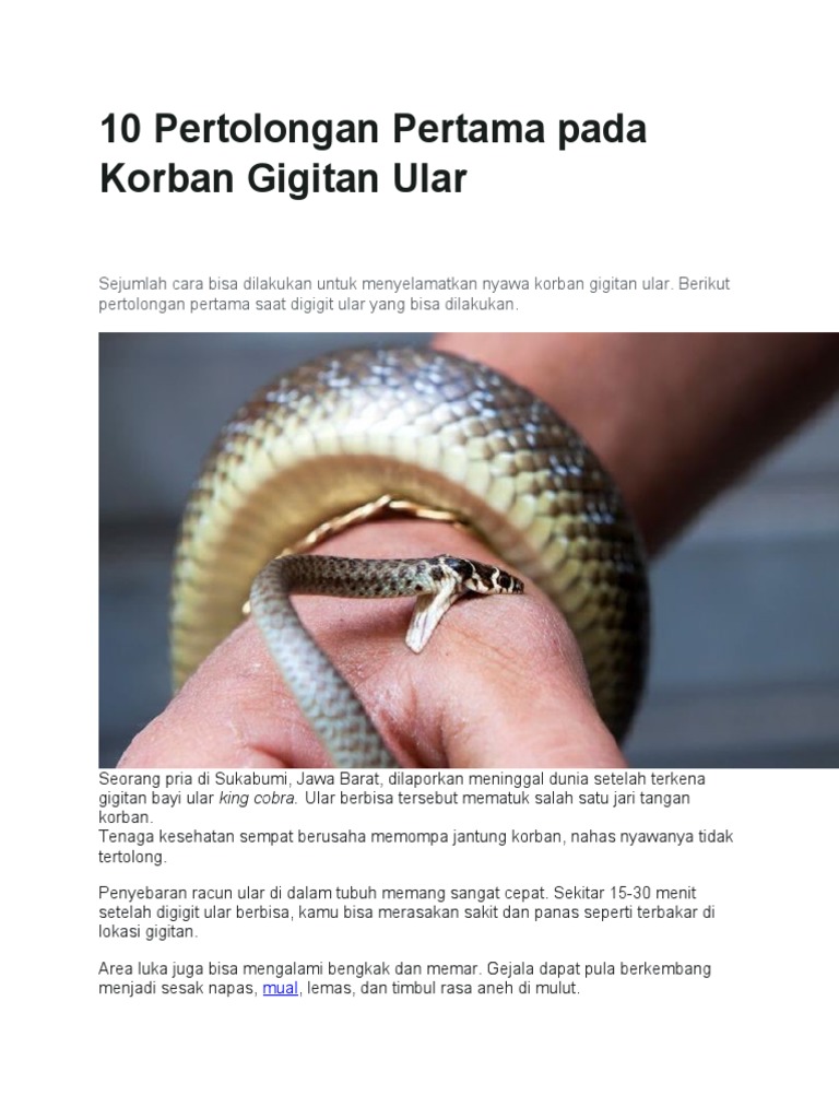 10 Pertolongan Pertama Pada Korban Gigitan Ular | PDF