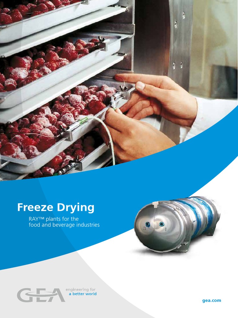 Batch Ray Freeze Drying Technology Tcm11 37505 | Download Free PDF | Freeze Drying | Ice