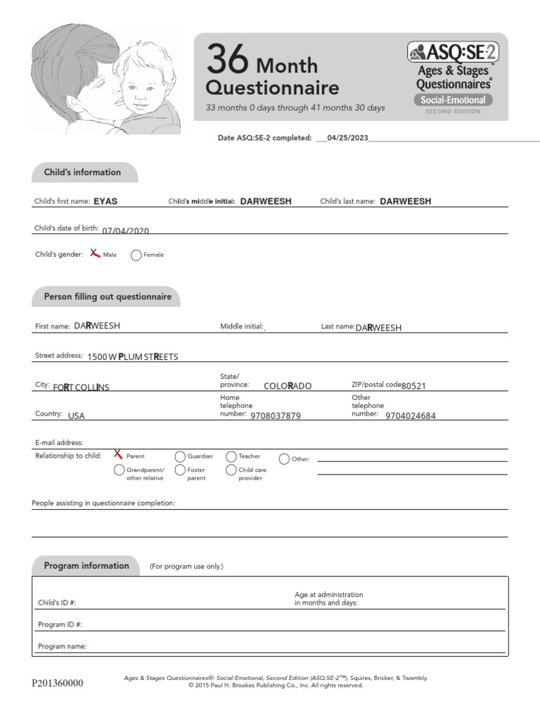 ASQ SE-2 English Questionnaire | PDF