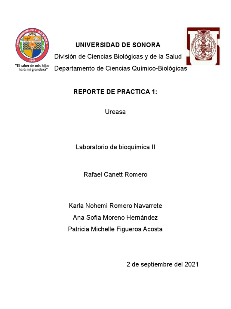 Practica 1 - UREASA | PDF | Enzima | Sitio activo