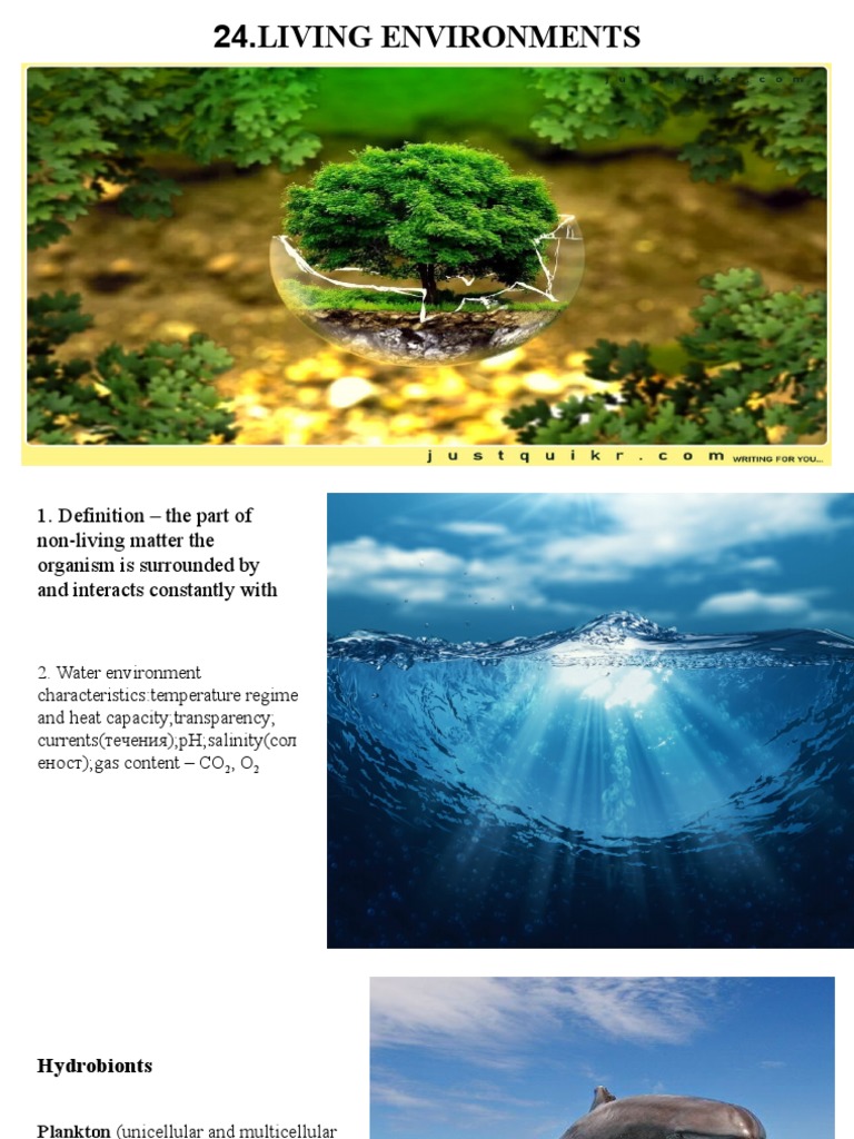 24.living Environments | PDF