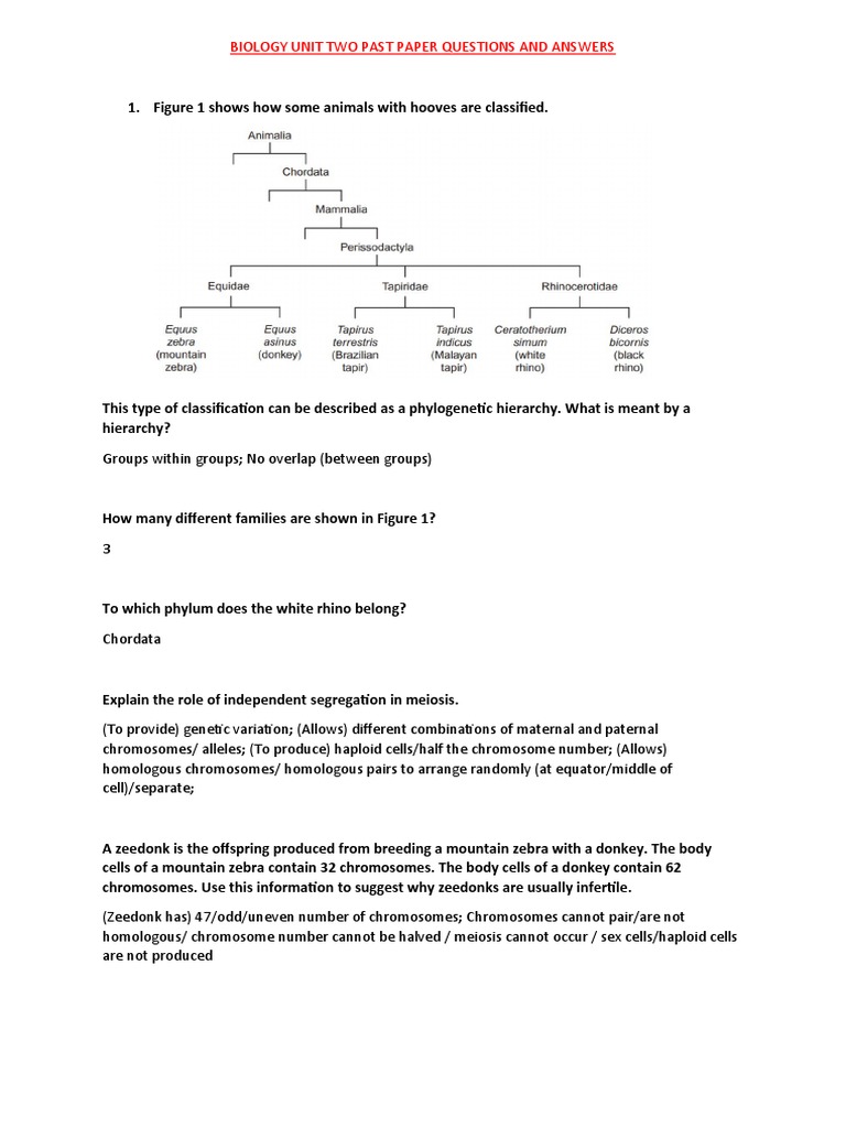 Past Paper Questions and Answers | PDF | Dna | Dna Replication
