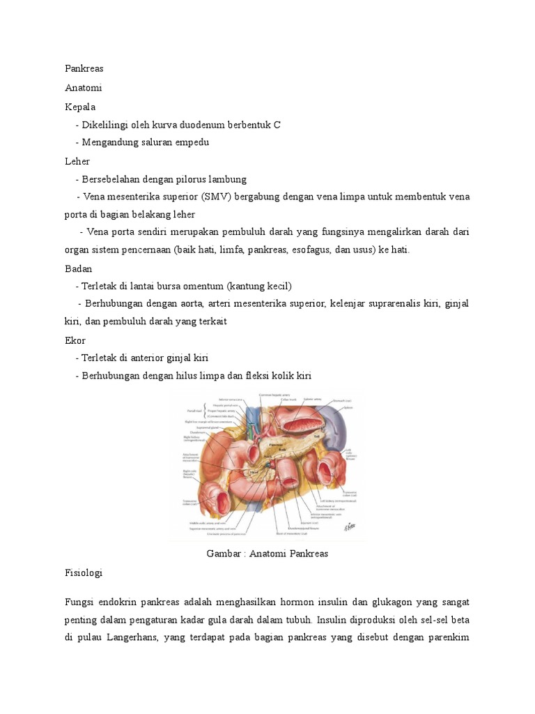 Pankreas: Anatomi dan Fisiologi Dasar | PDF | Memasak, Makanan ...