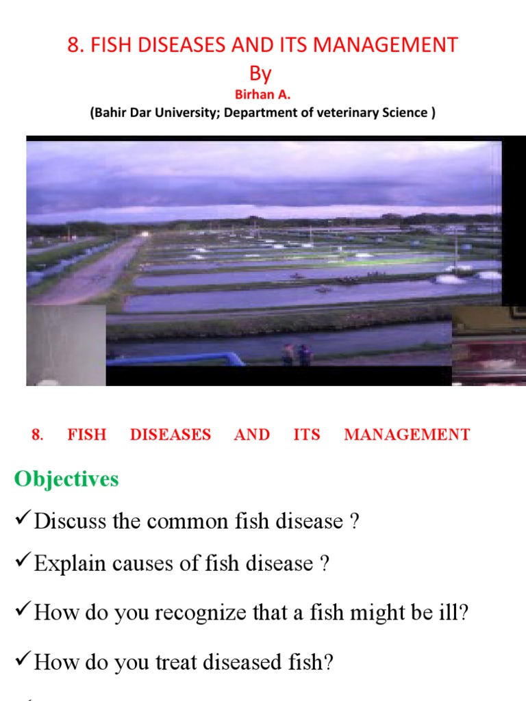 Fish Disease Lecture BDU | PDF | Infection | Parasitism