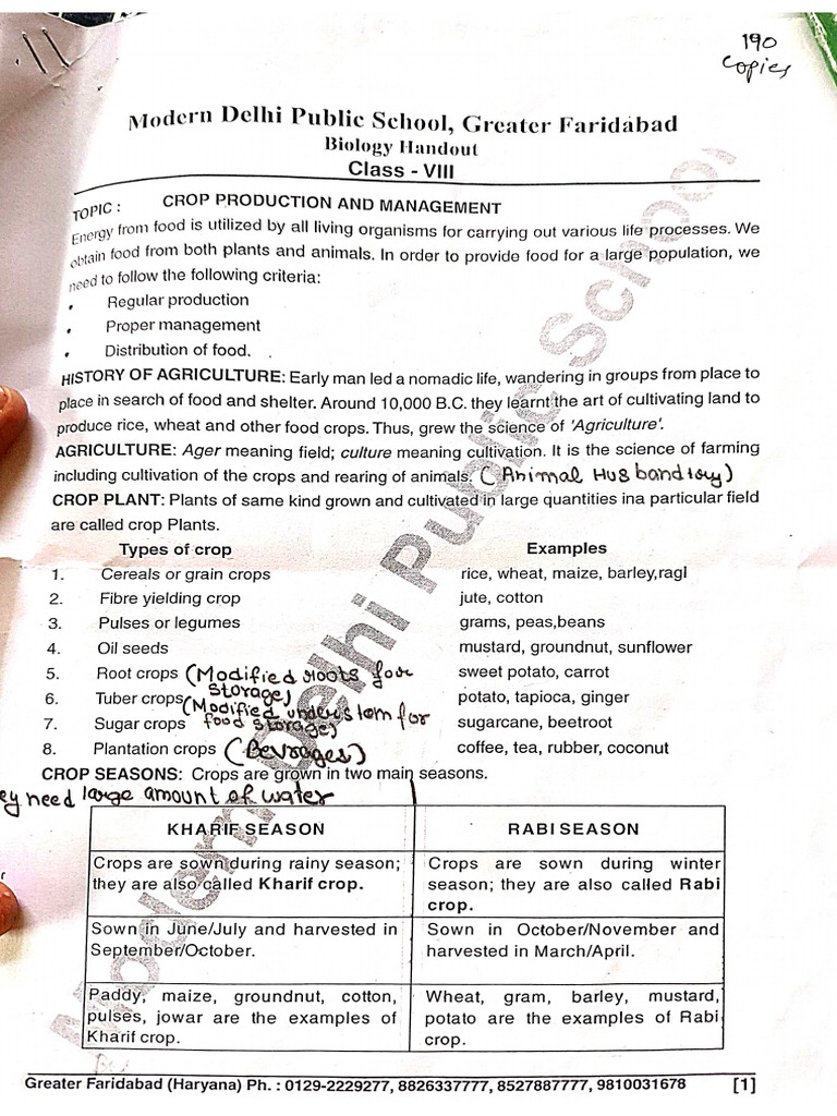 Crop Production and Management Handout | PDF