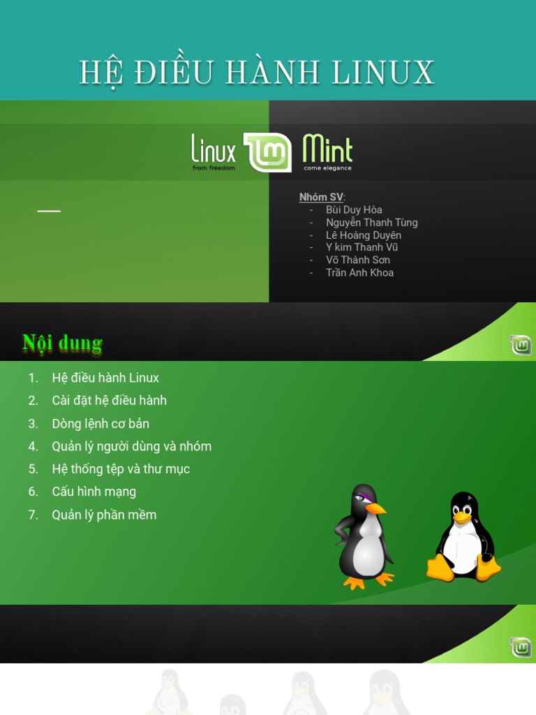 Linux Mint | PDF