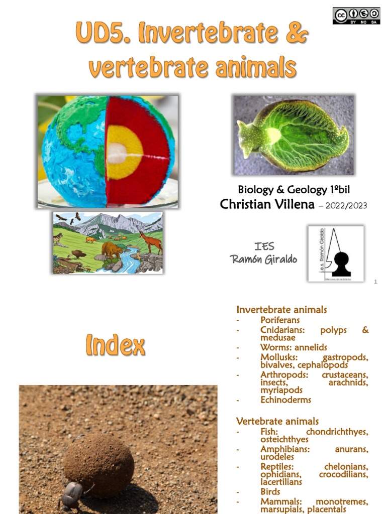 5 - Invertebrate & Vertebrate Animals - Print | PDF | Invertebrate | Fish