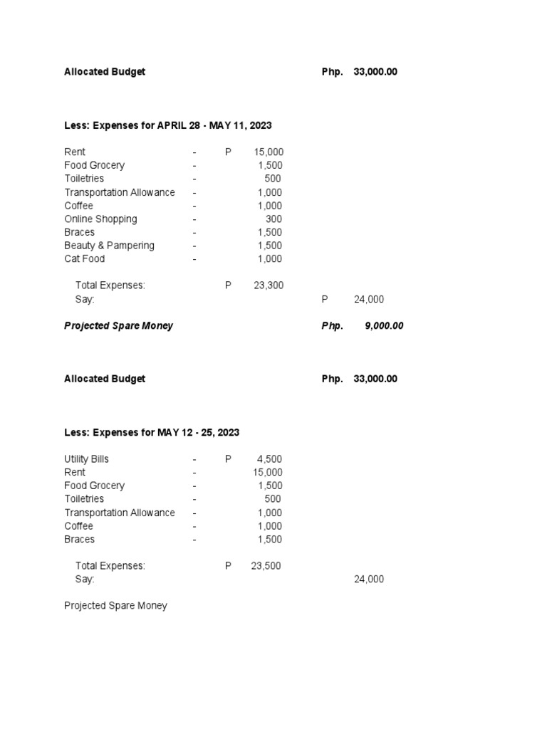Budgeting Adulting 101 | PDF