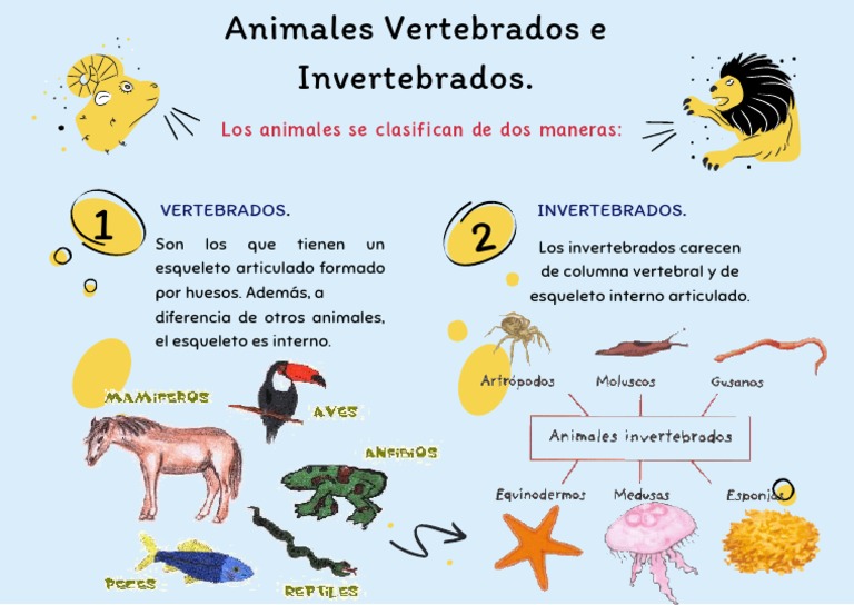 Animales Vertebrados e Invertebrados | PDF