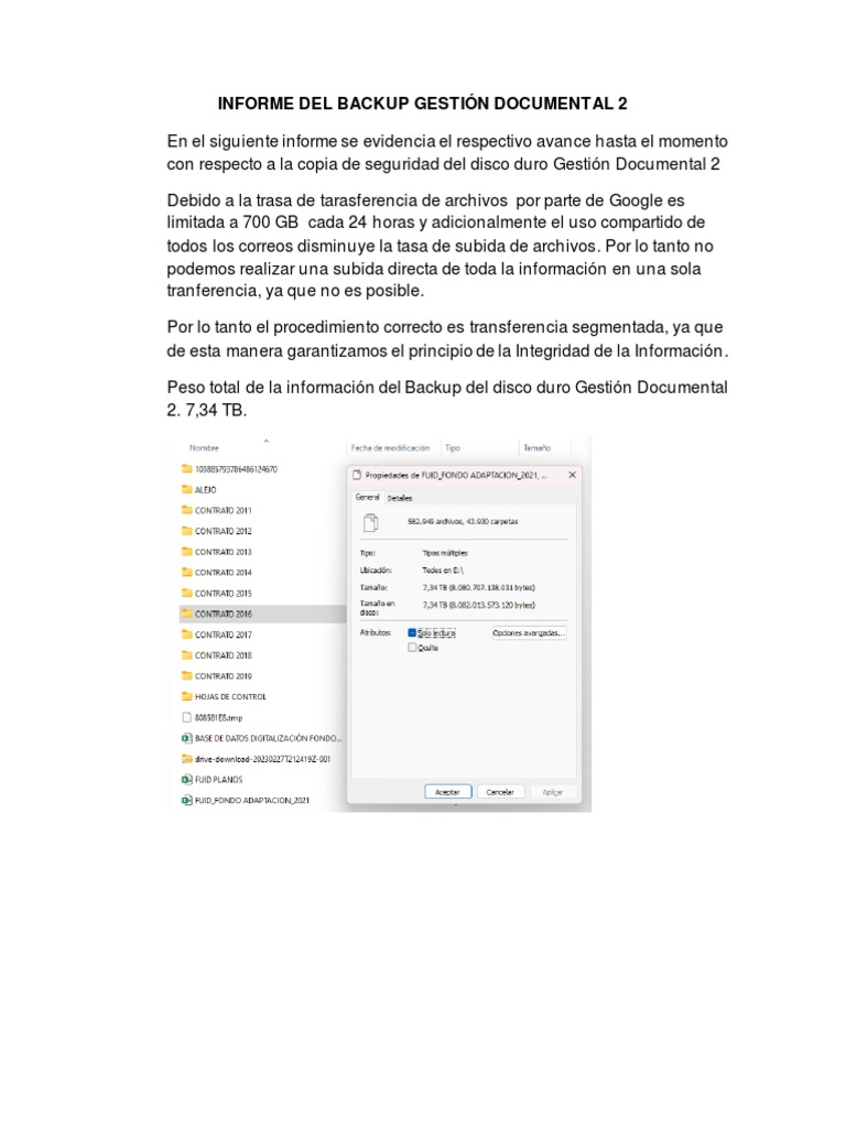 Informe Backup Gestion Documental 2 10-04-2023 | PDF