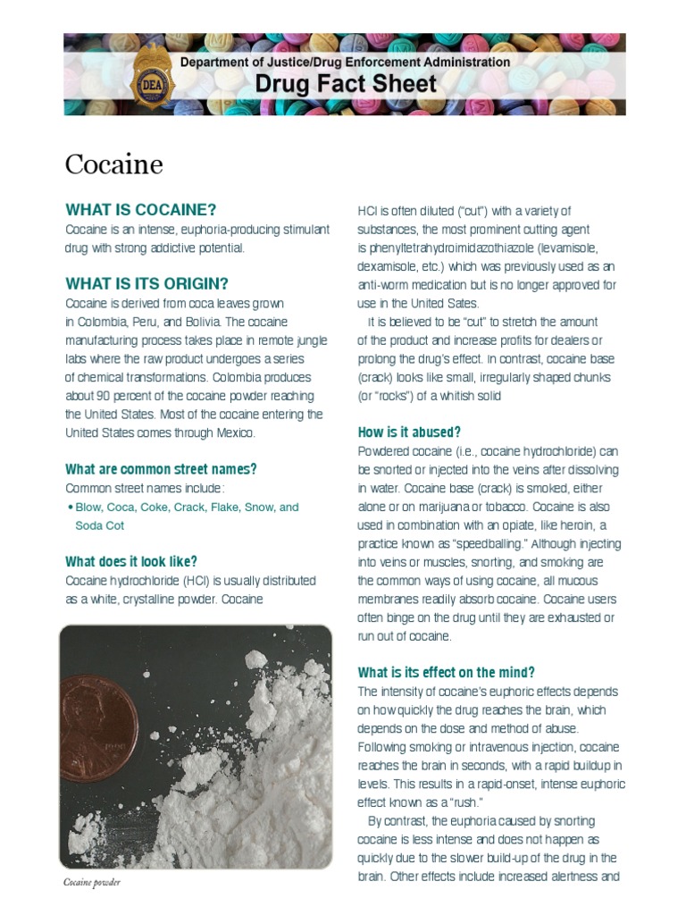 Understanding Cocaine: Effects and Risks | PDF | Cocaine | Crack Cocaine