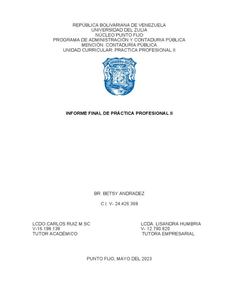 Informe De Practica Profesional Ii Pdf Contabilidad Marketing