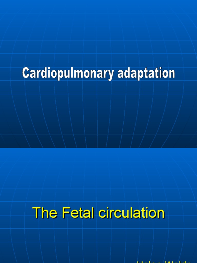 The Fetal Circulation | PDF | Fetus | Human Anatomy