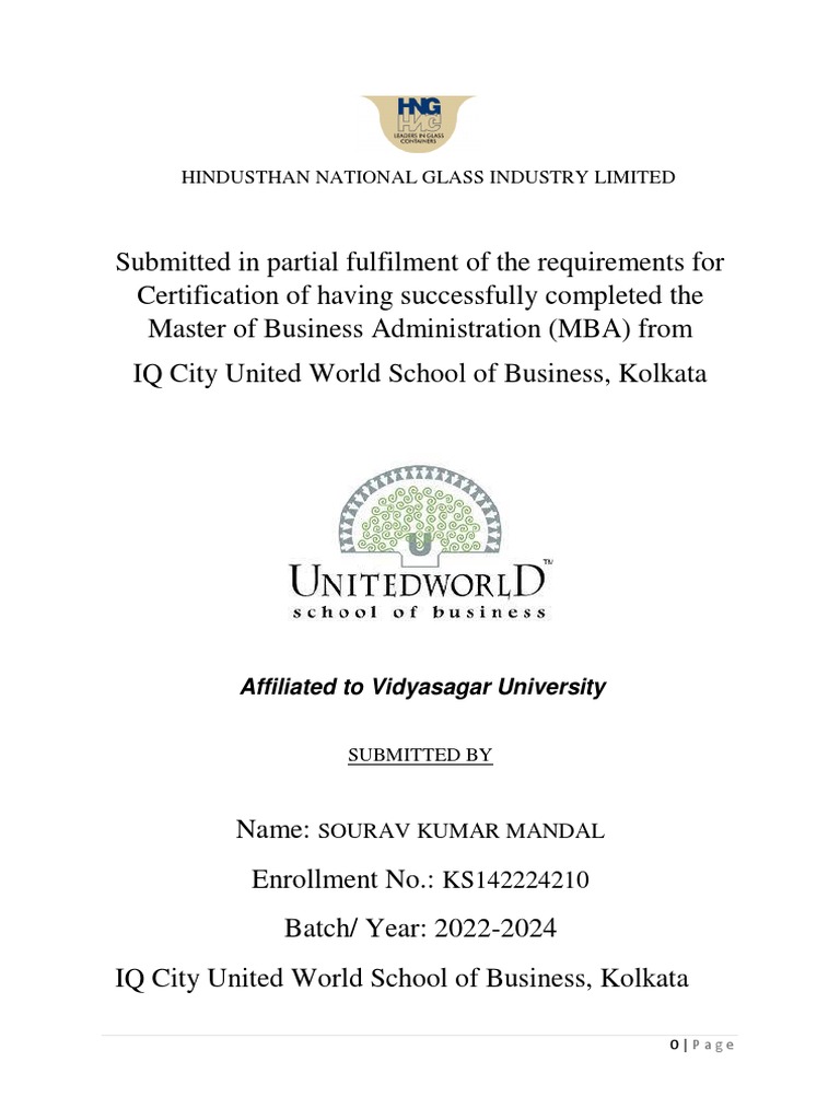 Hng Report Skm Pdf Glasses Supply Chain