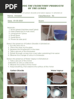 Lime Water Experiment | PDF