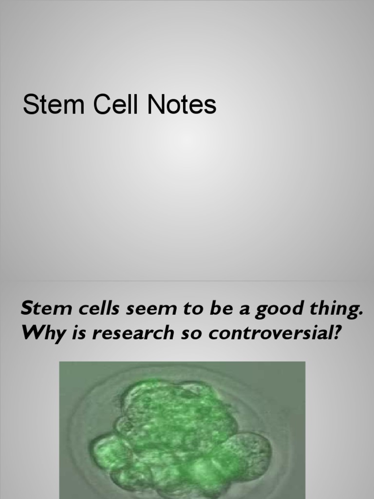 Stem Cell Research and Cell Division Insights | PDF | Meiosis | Mitosis