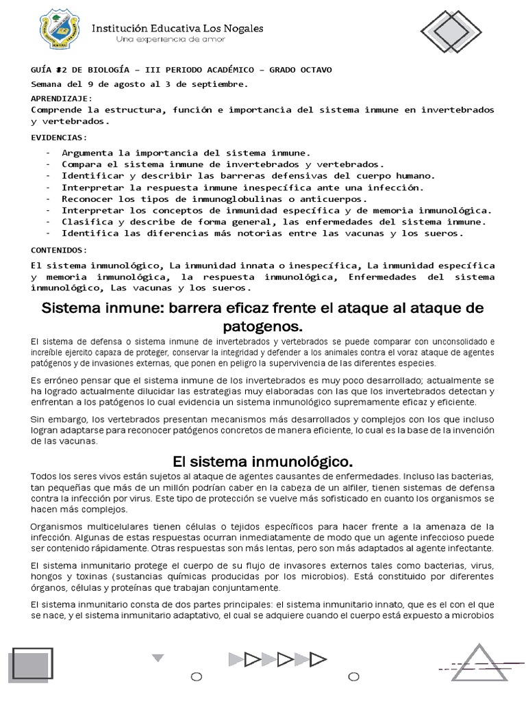 Guía N°2 Octavo Tercer Periodo | PDF | Sistema inmune | Linfocitos