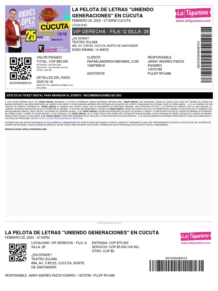 Recomendaciones para su Ticket Digital | PDF