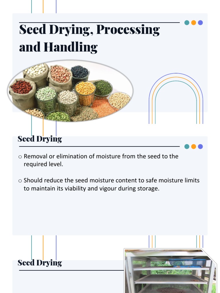 Seed Drying Methods and Benefits | PDF | Seed | Clothes Dryer