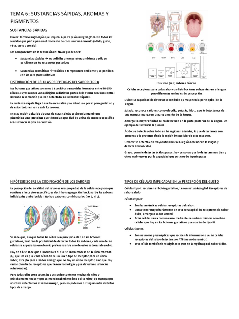 Tema 6 Qba | PDF | Dolor | Receptor (Bioquímica)