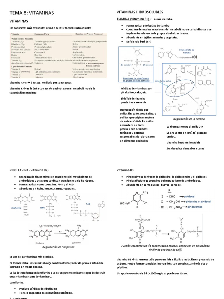Tema 8 Vitaminas Qba | PDF | Vitamina | Metabolismo