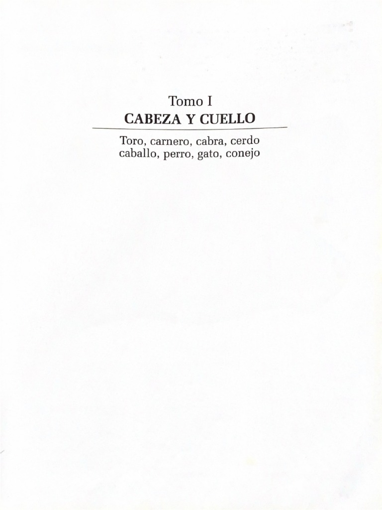 Popesko 1 Parte Equino | PDF