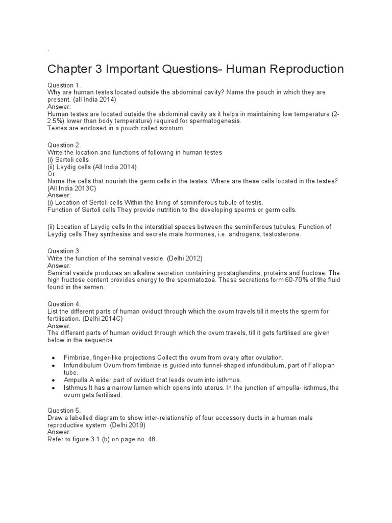 Worksheet On Human Reproduction - Grade 12 | PDF | Menstrual Cycle ...