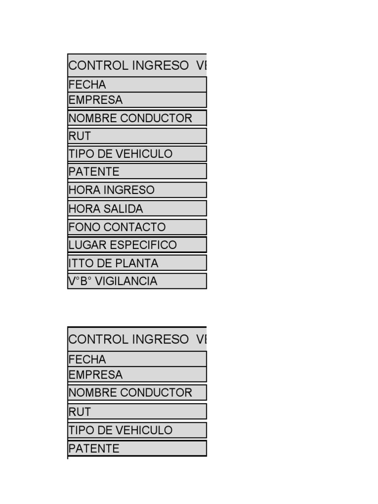 PLANILLA Control Vehicular | PDF
