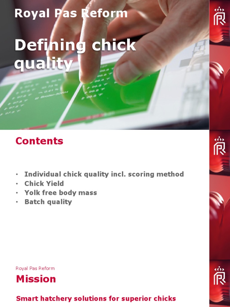 6B Defining Chick Quality | PDF | Yolk | Metabolism