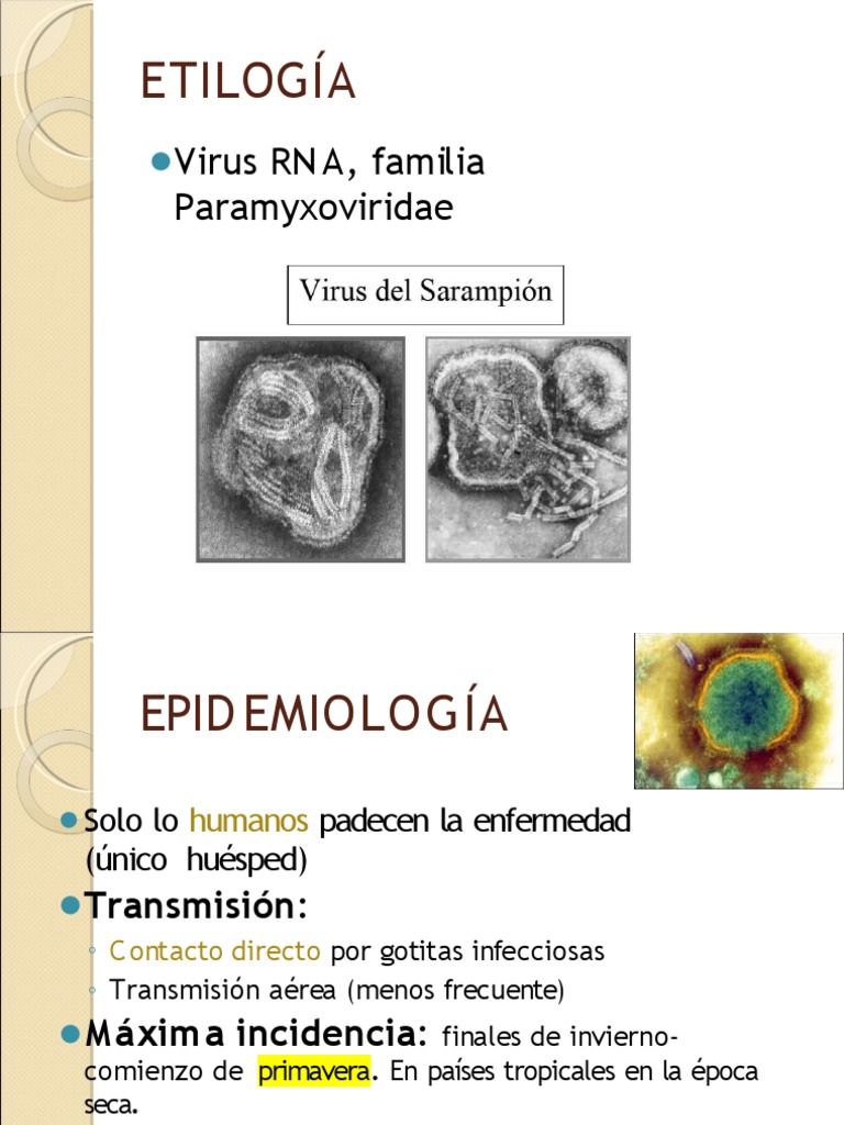 Sarampion | PDF | Sarampión | Medicina Sarampion | PDF | Sarampión | Medicina