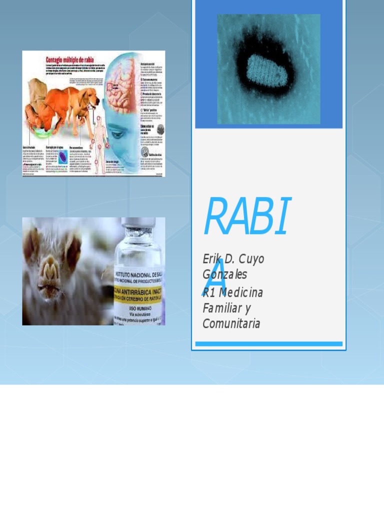 Rabia | PDF | Rabia | Medicina