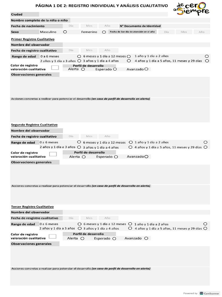 Pu2.lm5 .PP Registro Individual y Analisis Cualitativo v2 | PDF