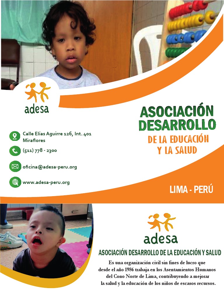 Brochure de Adesa | PDF | Donación | Economias