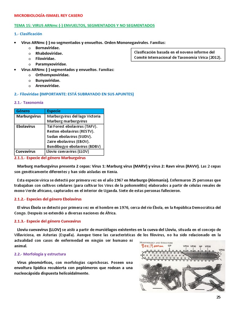 1.-Clasificación: Tema 15: Virus Arnmc (-) Envueltos, Segmentados Y No ...