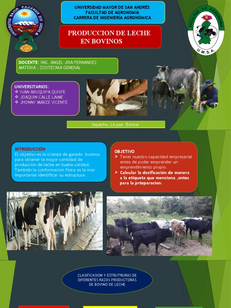 Produccion de Leche en Bovinos | PDF | Leche | Vacas