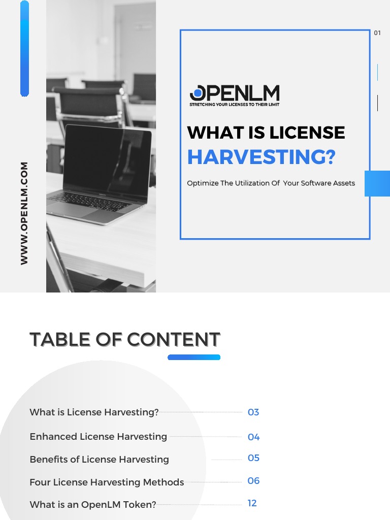 OpenLM License Harvesting | PDF | Application Software | Arc Gis