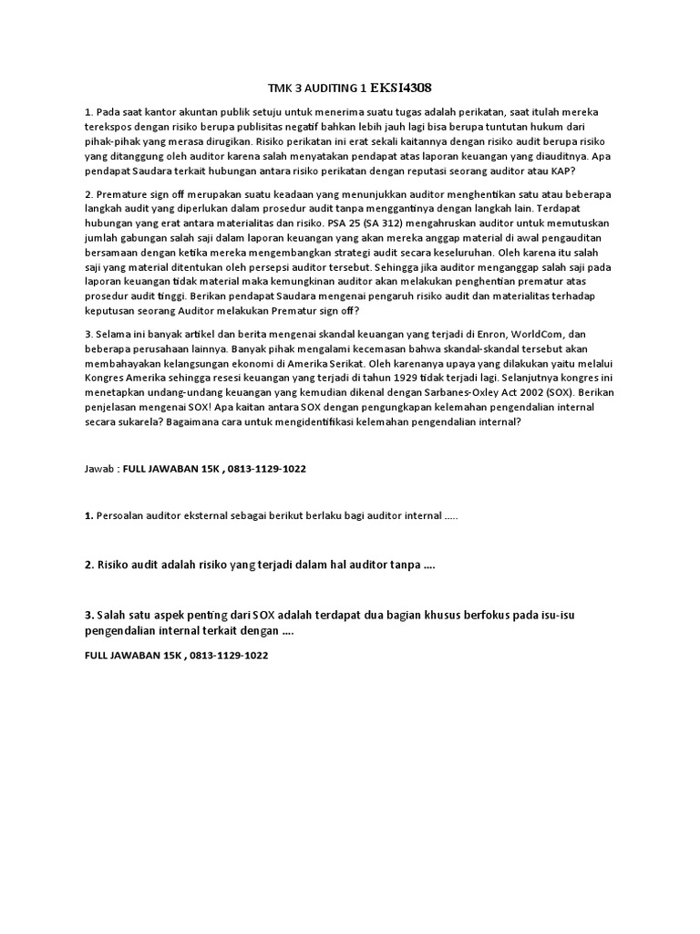 TMK 3 Auditing 1 Eksi4308 2023 | PDF