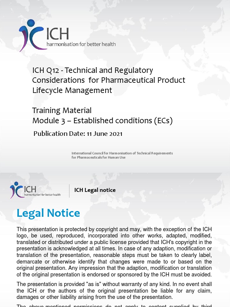 ICH Q12 IWG TrainingMaterial Module3 2021 0601 | PDF | Parameter ...