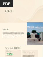 Qué Es INDAP Indap y Requisitos para Ser Usuario | PDF | Ciencias sociales