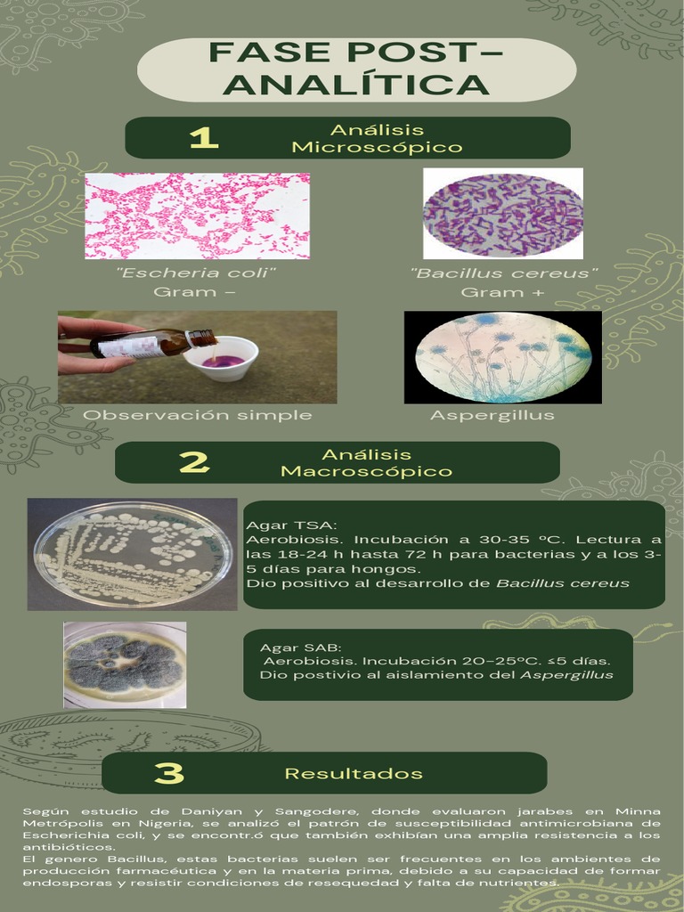 Fase Post Analítica | PDF