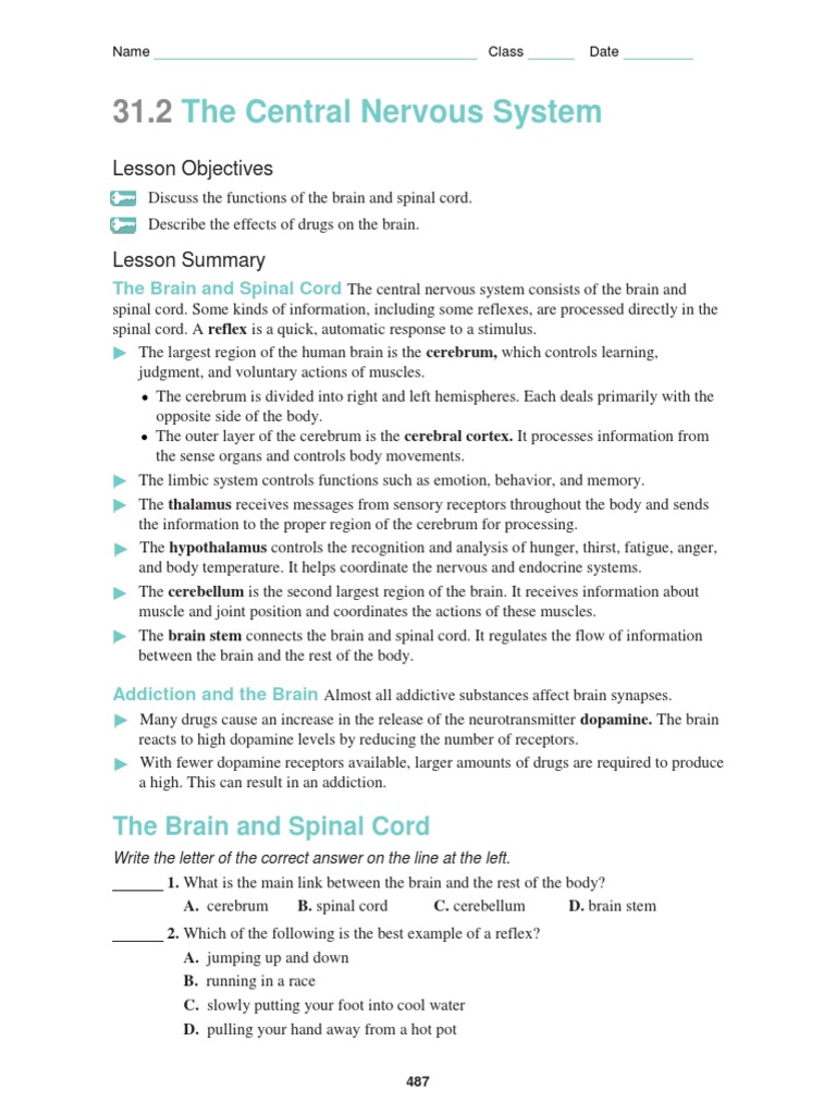 31.2 The Central Nervous System | PDF | Brain | Central Nervous System